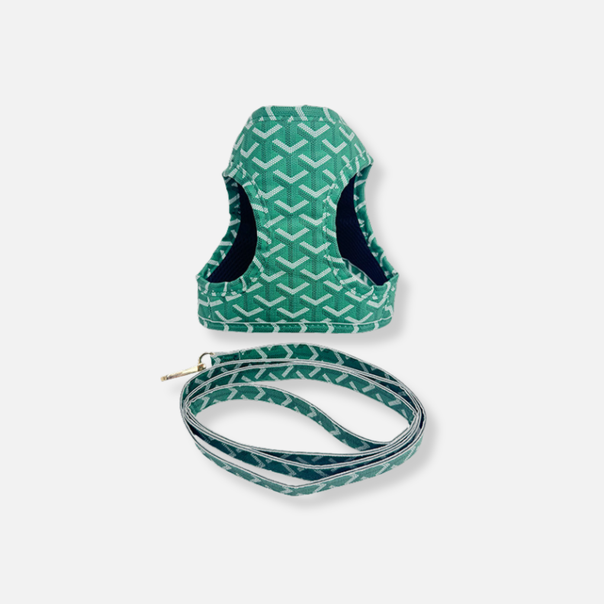 Riviera Élan Harness & Leash Set – Tails Avenue